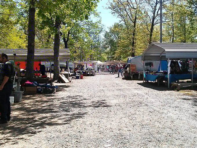 Gravel paths lead to golden discoveries where your wallet stays happy and your heart gets full.