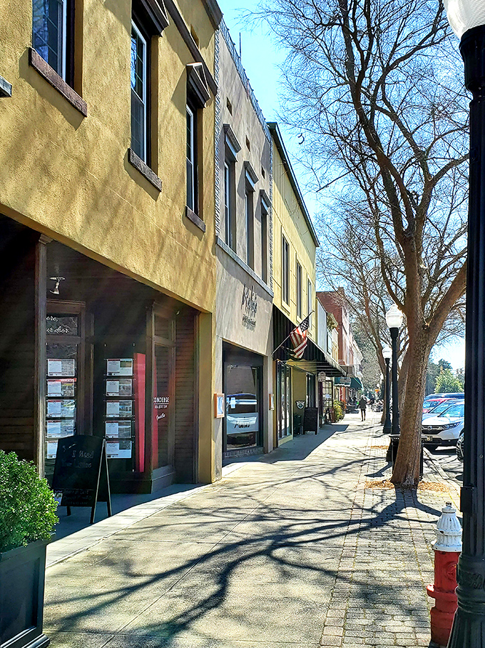Boutique shops line Aiken's walkable downtown, where window shopping costs nothing but delivers hours of entertainment.