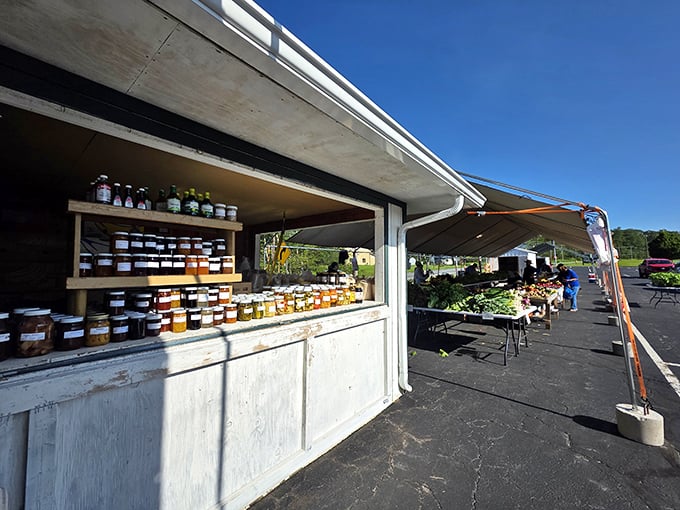 Jars of homemade preserves line wooden shelves like edible jewels. Each one captures summer sunshine you can spread on toast.