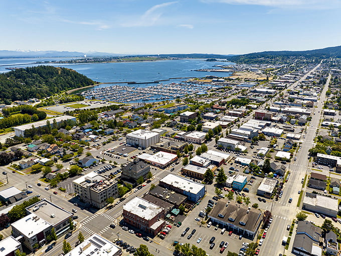 This marina buzzes with more activity than a coffee shop on Monday morning.