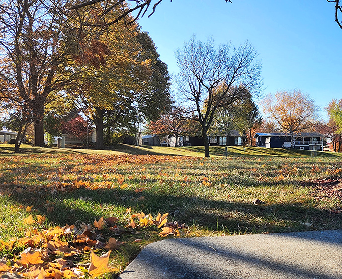 Fall colors paint Blue Earth's neighborhoods in gold and crimson &ndash; nature's free art show for budget-conscious retirees.