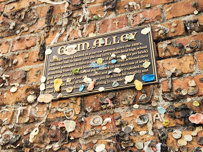 A plaque explains the quirky history of Bubblegum Alley, where leaving your mark means sticking around forever.
