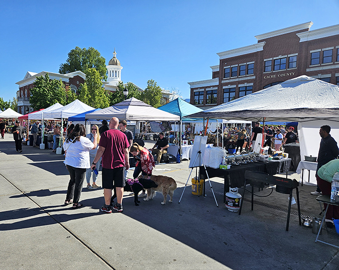 Logan's historic buildings create the perfect backdrop for market day. Even four-legged friends enjoy the treasure hunting atmosphere!
