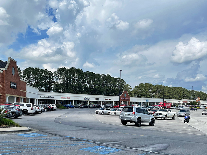 This sprawling parking lot view shows how serious shoppers take their outlet mall visits in North Georgia.
