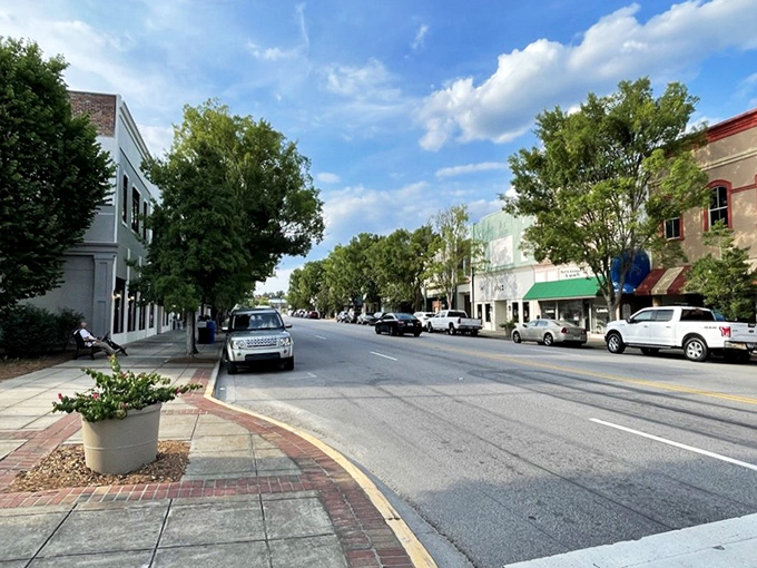 Camden's historic streets anchor a town that's seen America grow up around it. Revolutionary history with modern Southern charm.