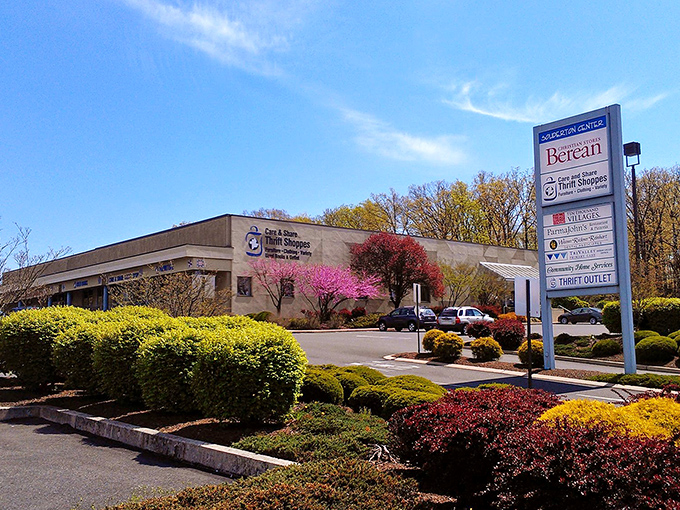 When a thrift store takes pride in its flower beds, you know they'll treat their merchandise right.