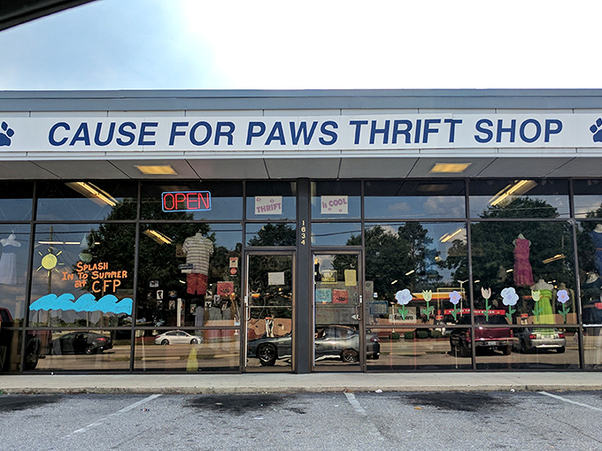 Large windows showcase the mission - transparent shopping that supports four-legged community members who need our help.