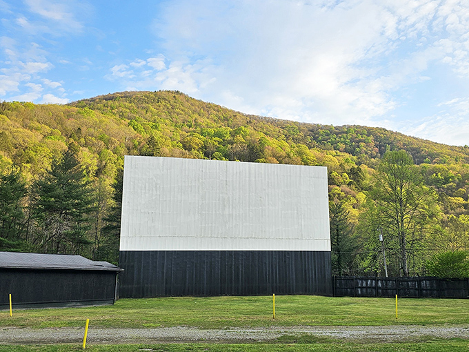 The screen stands sentinel against a backdrop of endless green at Central Drive-In. Movies with mountain magic!