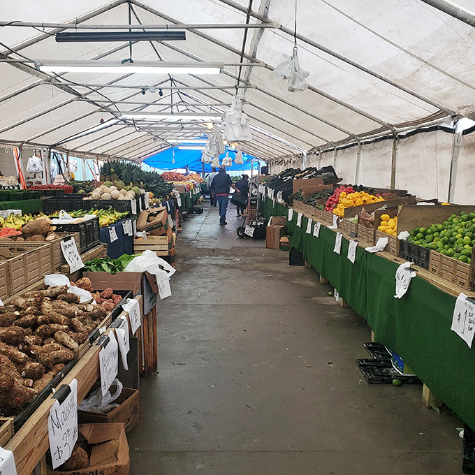 Fresh produce paradise! These farm-fresh vegetables might make you forget you came for vintage vinyl records.