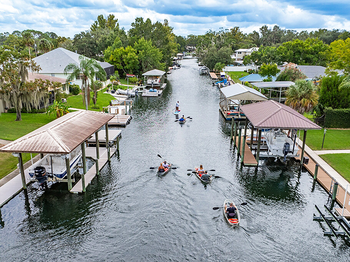 These peaceful canals offer front-row seats to Florida's gentlest giants, and the admission price is absolutely free.