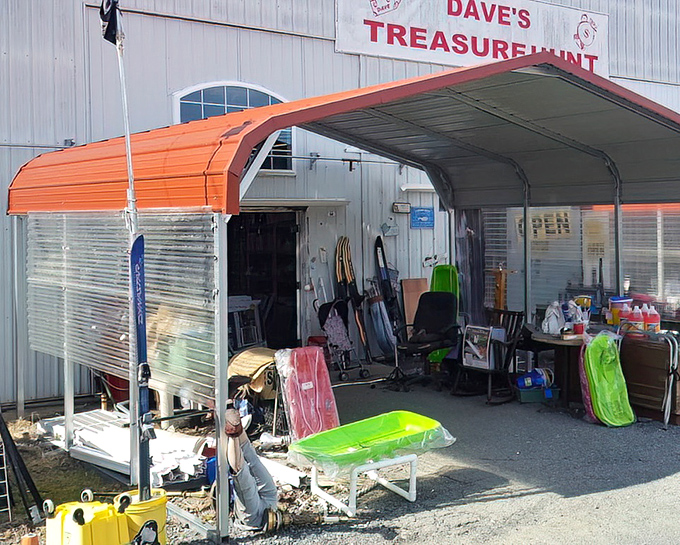 Outdoor displays change like seasons, offering everything from practical tools to conversation-starting curiosities today.