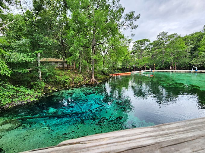 The original two-tone pool! Where emerald headspring meets swimming area&mdash;like nature decided to design the perfect resort without architects.