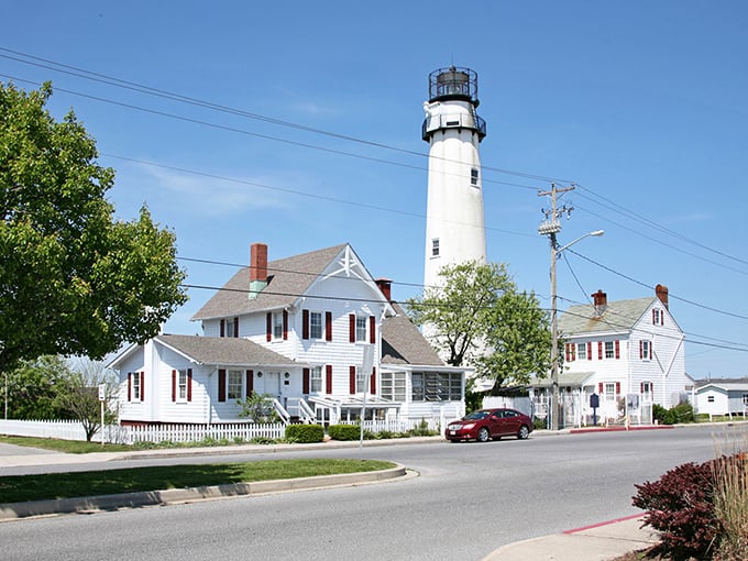 Sometimes the best view requires climbing a few stairs - this lighthouse rewards every step taken.