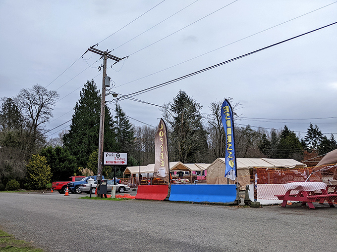 Frank's Landing creates a temporary village of vendors where yesterday's extras become today's discoveries in the Washington sunshine.
