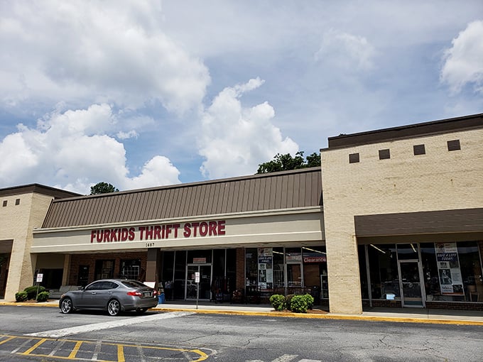 Every purchase here writes a happy ending for shelter animals – your new lamp literally saves lives in the process.