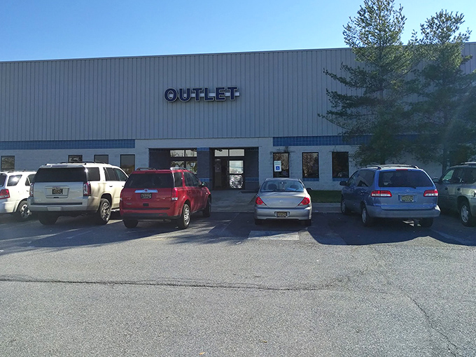 That parking lot tells the story - packed with treasure hunters ready to dig through bargain mountain. 