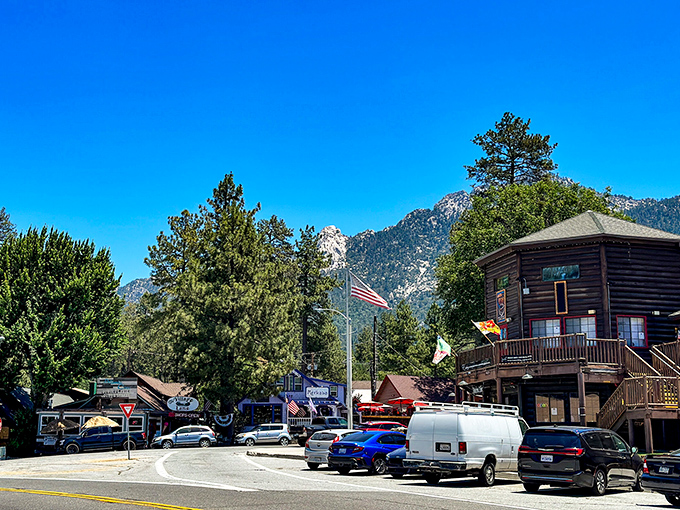 Houses nestle among the pines in Idyllwild's hillside neighborhoods. Where your morning coffee comes with a side of mountain serenity.