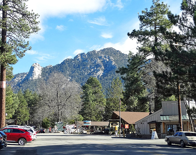 High in the San Jacinto Mountains, this pine-scented haven offers the perfect escape from desert heat below.