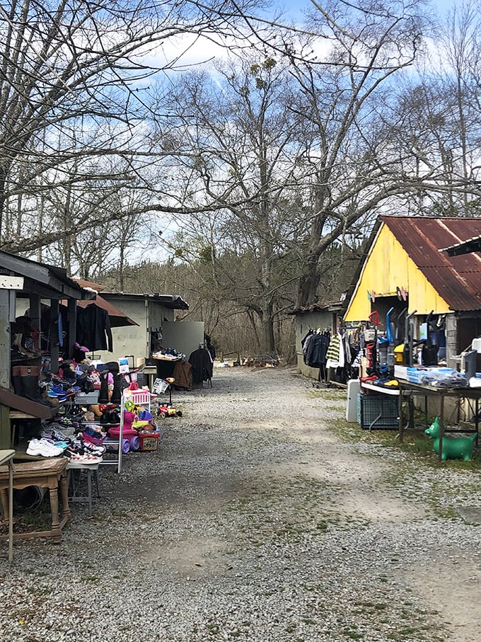 These winding pathways lead to adventures that would make Indiana Jones jealous of the treasure hunting.