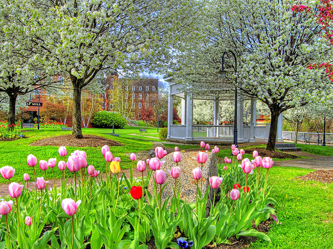Spring blooms frame Laconia's charming gazebo, a town where natural beauty comes free but everything else is surprisingly affordable too.