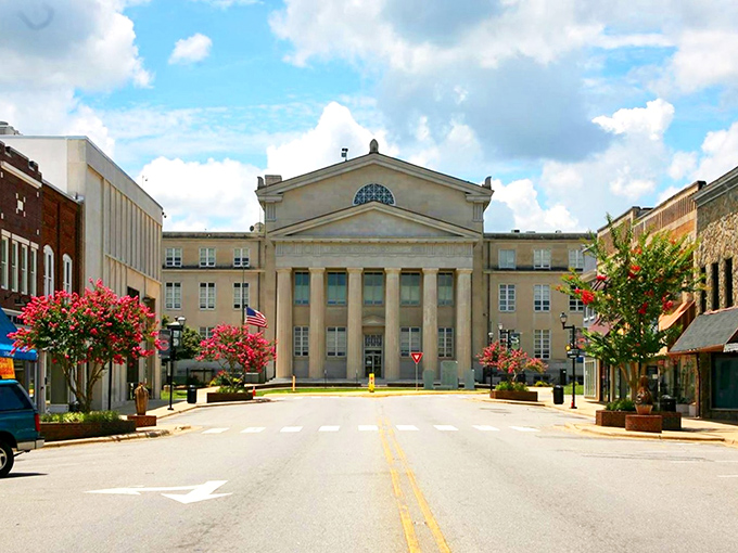 Red brick buildings stand like faithful friends, weathering decades with quiet dignity.