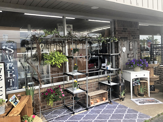 Sweet displays showcase the careful curation that makes every visit feel like Christmas morning.