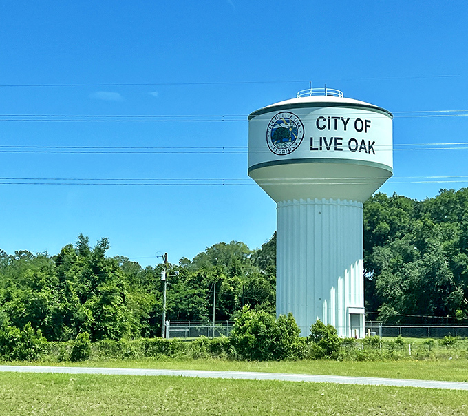 The iconic water tower welcomes visitors like a friendly lighthouse, marking this charming town from miles around the countryside.