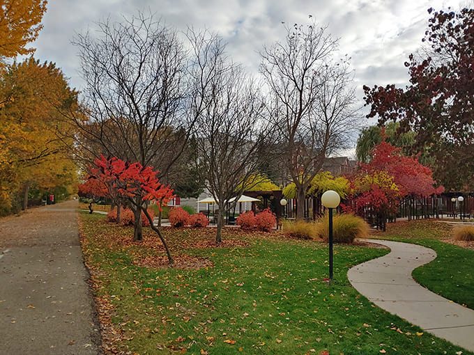 Autumn colors frame community spaces where neighbors become friends over shared morning walks together.