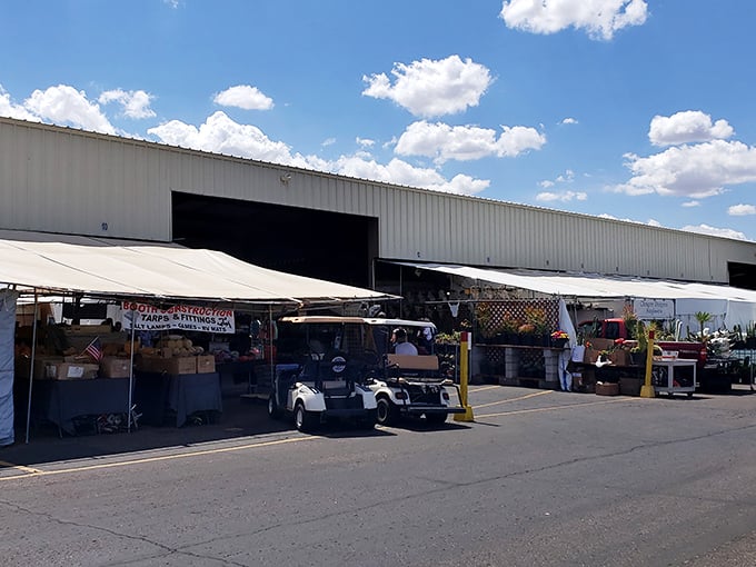 White warehouse wonderland! Mesa Market's sprawling structure basks under perfect Arizona clouds, its golf carts standing ready like chariots for weary treasure hunters.