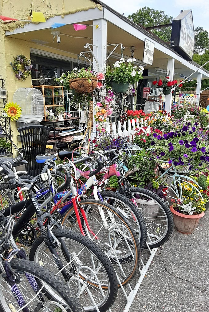Bikes and blooms! This colorful corner of Now & Then proves one person's old Schwinn is another's garden art.
