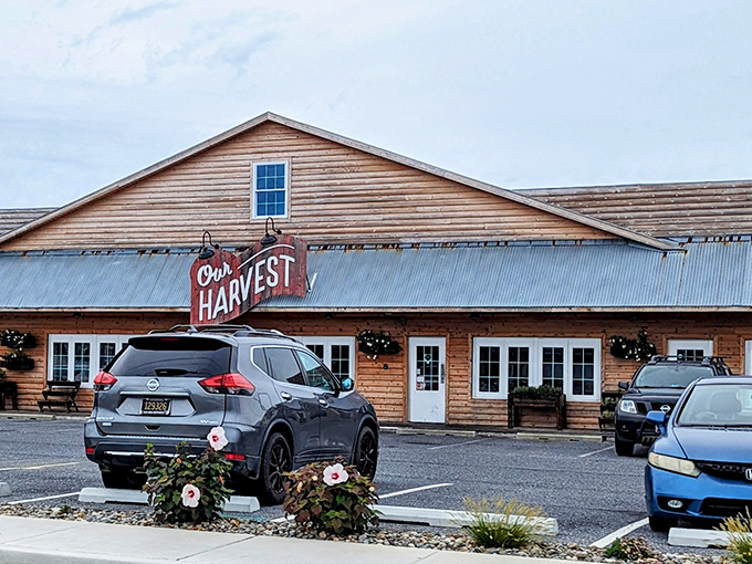 Morning reveals Our Harvest's charming farmhouse exterior&mdash;a place where field-to-fork isn't just a slogan but a delicious reality.