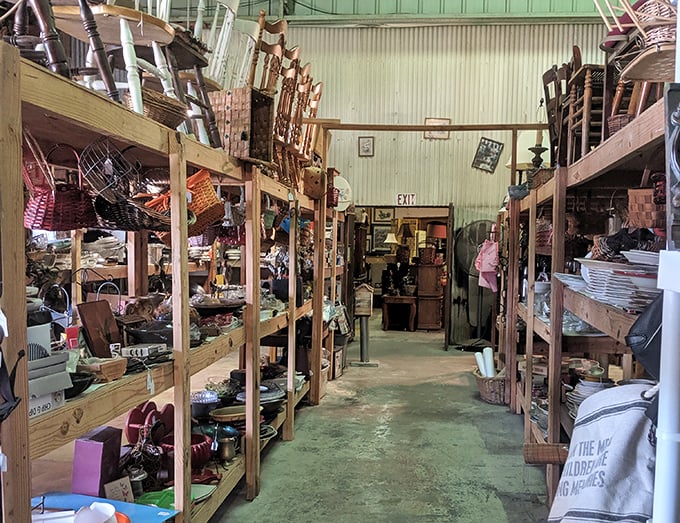 Wooden shelves climb toward the ceiling, creating a library of life's forgotten but useful things.