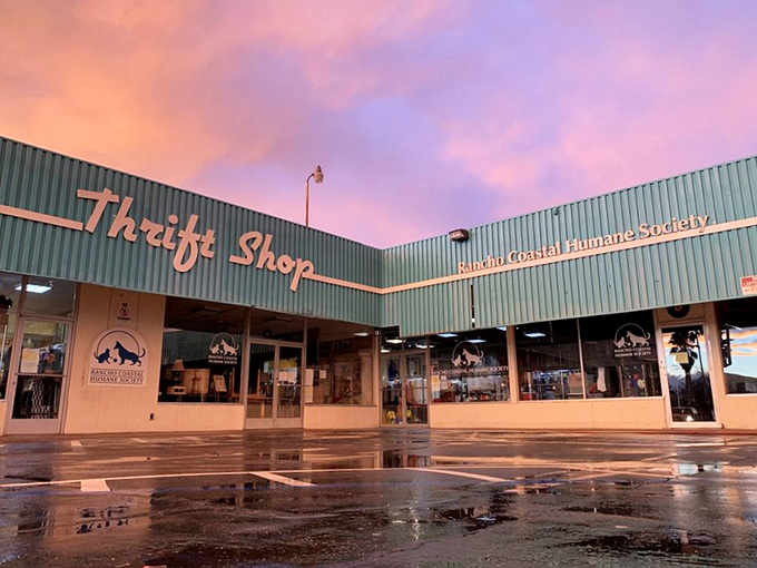 The Rancho Coastal Humane Society's cheerful storefront promises deals that warm both your wallet and your heart.