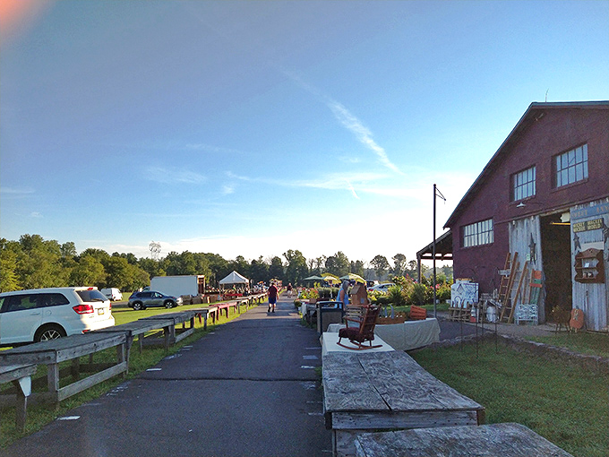 Country market magic! Rice's beautiful red barn structure creates the perfect backdrop for this beloved shopping tradition against rolling countryside.