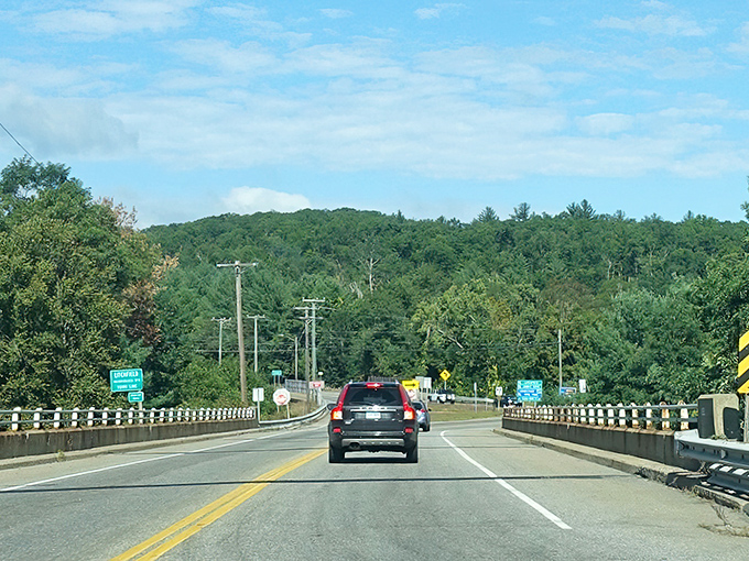 Bridge to somewhere wonderful! Route 118 delivers forest-bathing views that would make Thoreau pull over and write a spontaneous poem.
