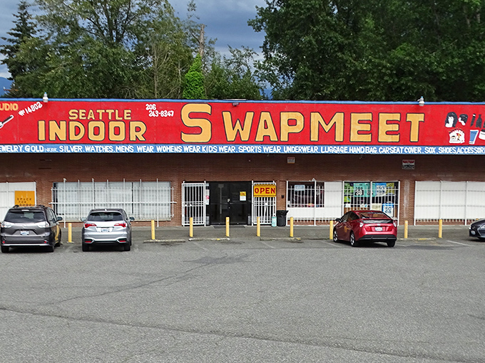 Professional displays showcase serious bargains where climate control enhances the shopping experience perfectly.