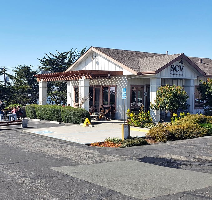 Ocean breezes and grape vines - Sonoma Coast Vineyards knows the secret recipe for perfect Pinot Noir.