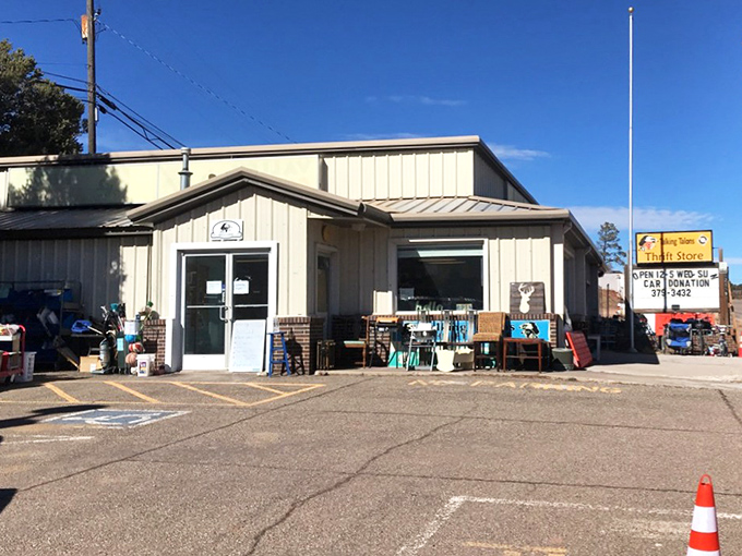 This unassuming thrift shop funds wildlife conservation with every purchase. Even the building looks ready for an adventure!