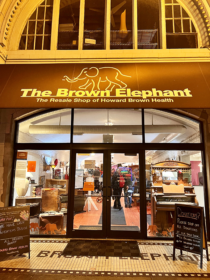 The Brown Elephant's golden glow promises carefully curated treasures supporting a wonderful community cause.
