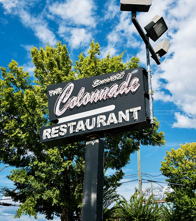 The Colonnade's iconic sign stands against a perfect blue sky. In a city that's always changing, this chicken joint remains deliciously constant.