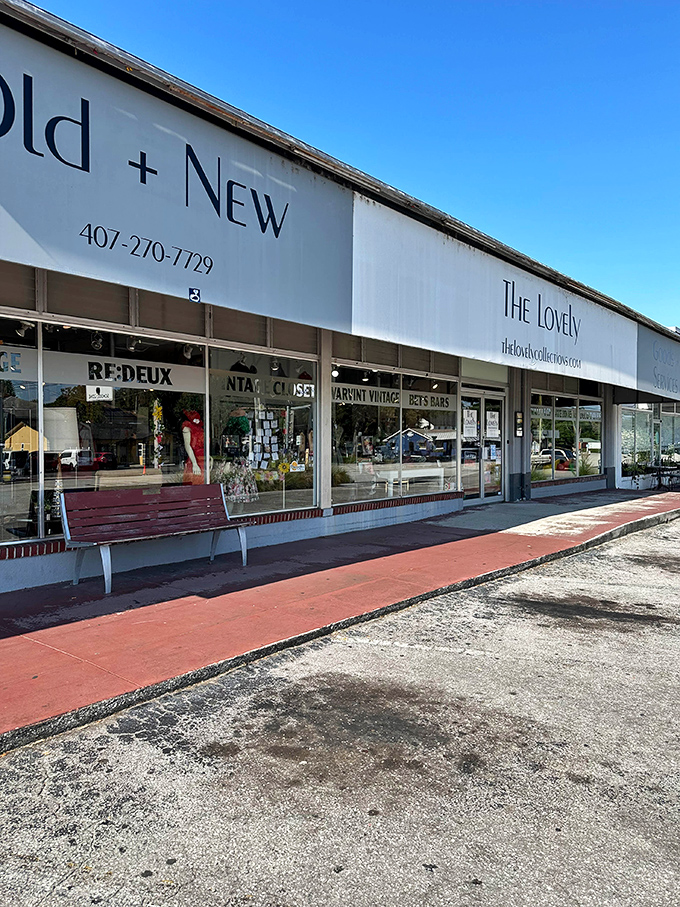 "Old + New" perfectly captures The Lovely's blend of vintage charm and modern sensibility. That bench invites you to rest before more treasure hunting!