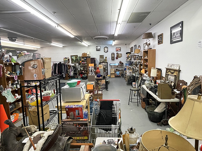 Floor-to-ceiling finds create a treasure hunter's paradise that would make any collector's heart skip beats.