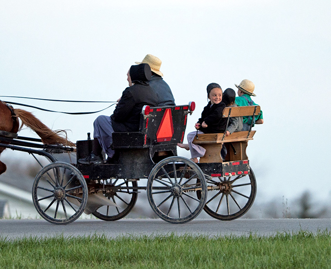 Family transportation, Amish-style. These kiddos aren't missing their screens&mdash;they're too busy experiencing the original 360-degree virtual reality called "outside."