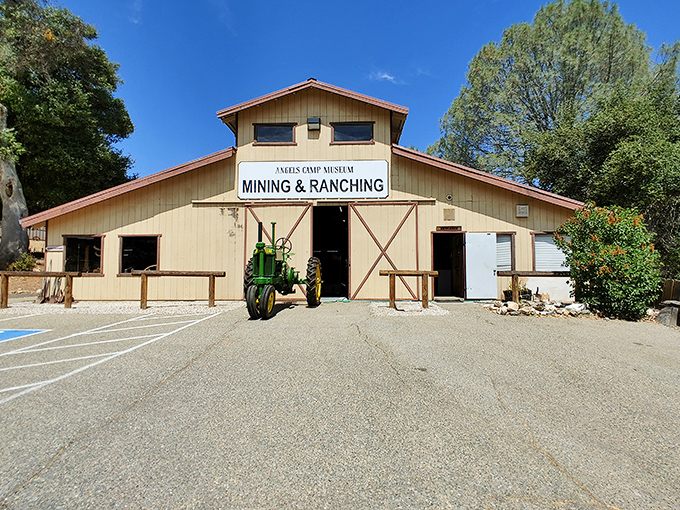 The Angels Camp Museum's Mining & Ranching building houses the stories of those who struck gold—and those who just struck out.