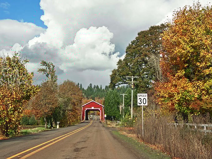 Fall foliage creates nature's perfect frame for the crimson bridge. This scene has "change your desktop background immediately" written all over it.