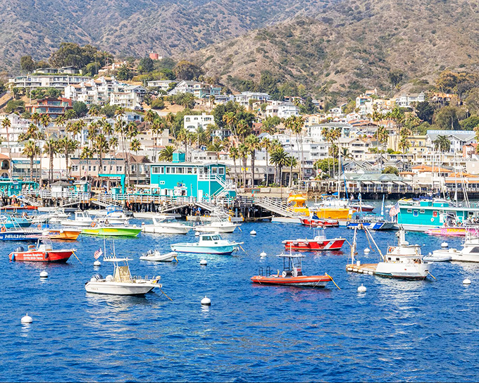 Harbor life in technicolor: Avalon's marina showcases a painter's palette of boats against the backdrop of the town's distinctive turquoise pier buildings.
