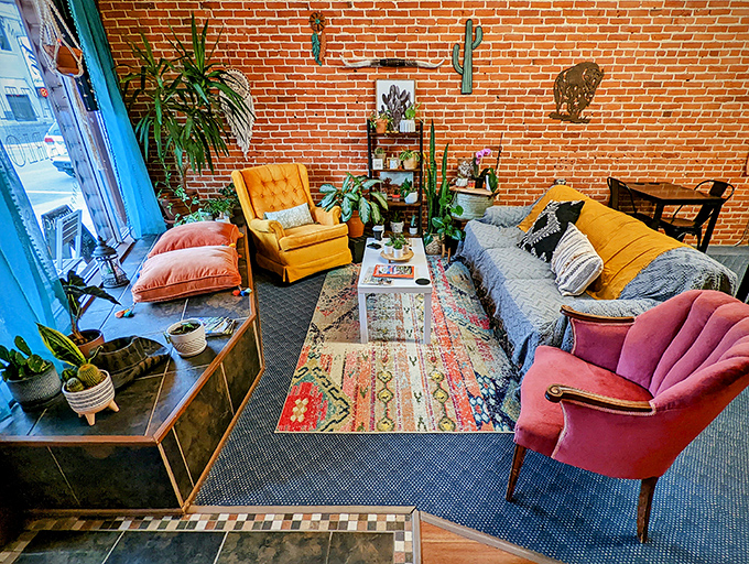 Cozy corners invite conversation without the premium pricing of trendy urban coffee shops. 