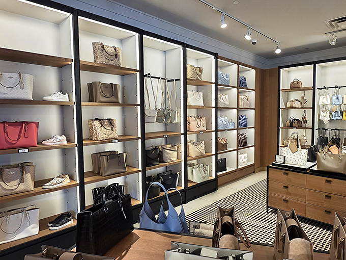 Handbag heaven arranged like a museum of affordable luxury. Each shelf tells a story of "I could actually own this."