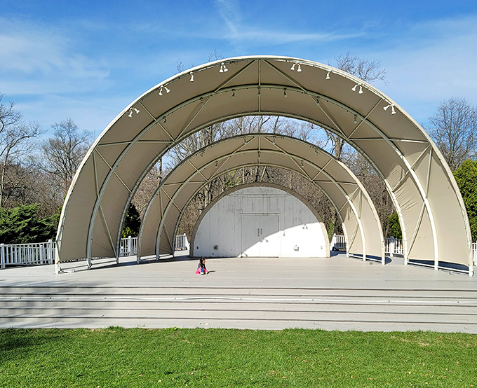 The iconic bandshell, where summer evenings transform into impromptu dance floors and children twirl while adults pretend they remember how.