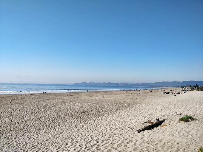 Three miles of pristine sand that somehow never feels crowded. Like finding an empty highway on a holiday weekend—a California miracle.